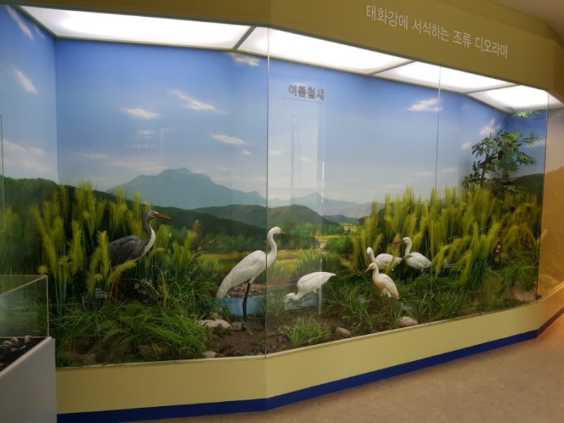 울산가볼만한곳 태화강생태관 ~연어의 세상♡ 입장료와 관람시간 알기 네이버 블로그