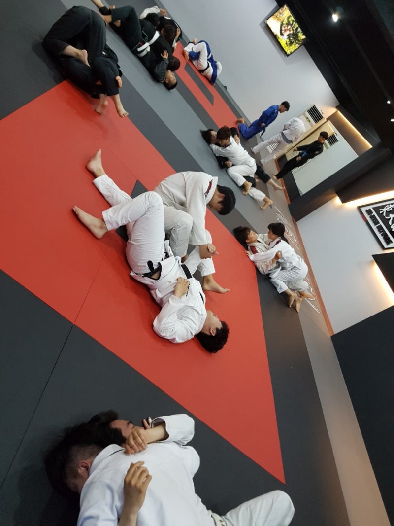 마산 주짓수 7월3일월욜수련일기 창원 동천백산 네이버 블로그