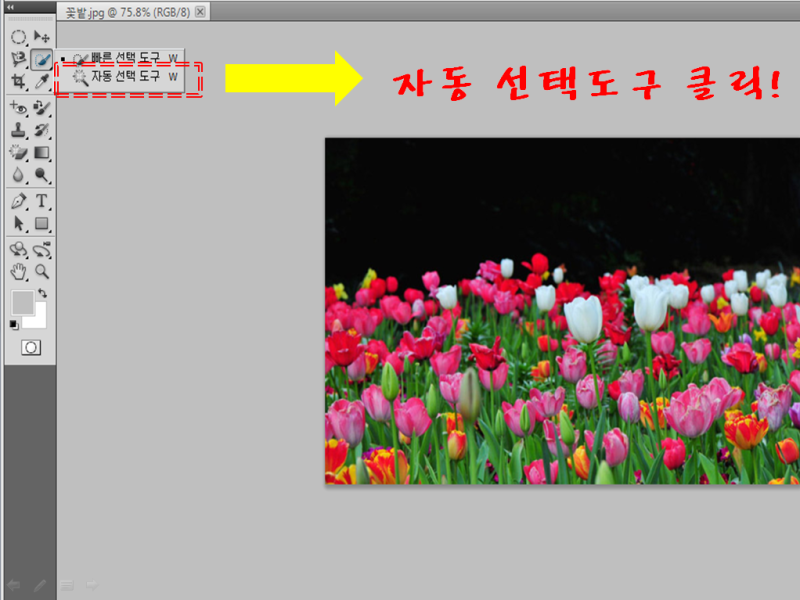 1분 만에 자동 선택으로 포토샵 배경색 바꾸기 네이버 블로그