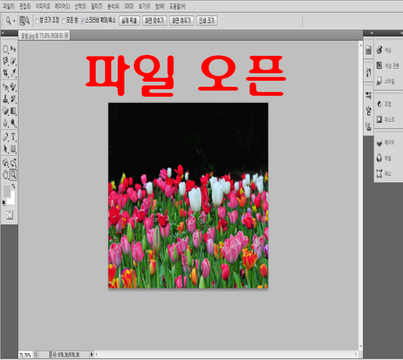 1분 만에 자동 선택으로 포토샵 배경색 바꾸기 네이버 블로그