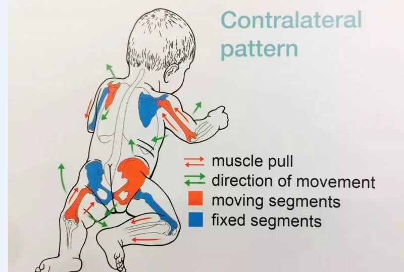 [DNS] Development of Posture : 네이버 블로그