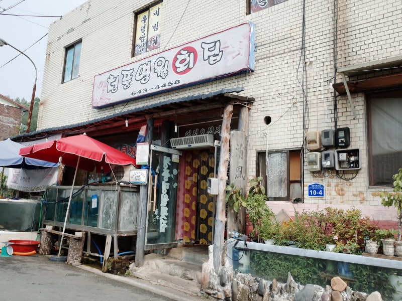 제천 청풍 가볼만한곳 청풍명월횟집 우렁쌈밥 맛집 네이버 블로그