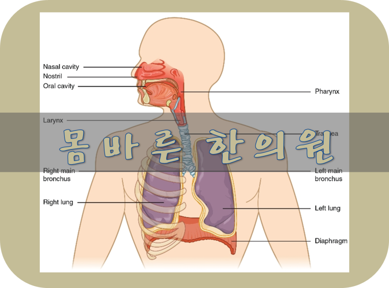 소아 아이 헛기침 잔기침 강동구 몸바른 한의원 네이버 블로그