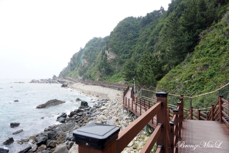 정동심곡 바다부채길 해안트레킹코스 소요시간 입장료 네이버 블로그