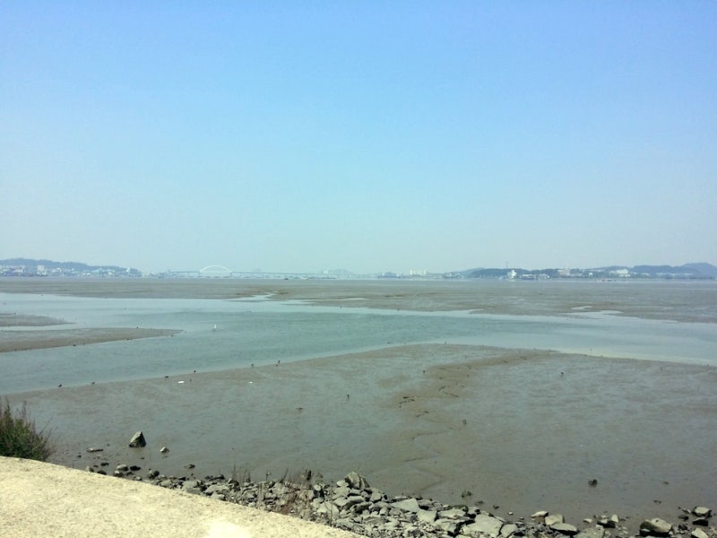군산에서 장항해장국 제육볶음 라이딩 네이버 블로그