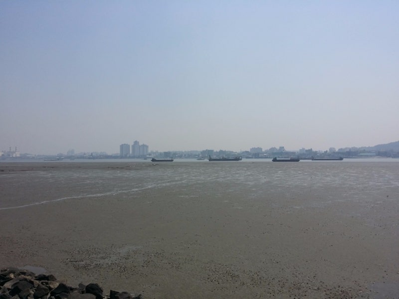군산에서 장항해장국 제육볶음 라이딩 네이버 블로그