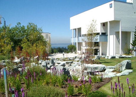 Highline Community College, 하이라인 커뮤니티 칼리지, 미국 어학연수, 대학교, 워싱턴 : 네이버 블로그