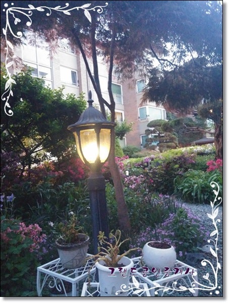 [분당 구미동 빌라] ,분당 구미동 빌라 아름다운날 현대노블리스 빌라의 정원을 감상해보며...~~~~♬(광고아님.매물아님 ...