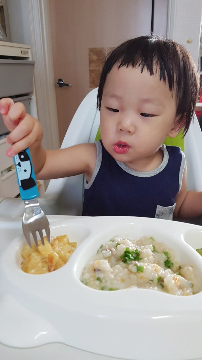 17개월아기식단 식판식 아기반찬 영양닭죽 애호박구이 치즈우유감자조림 네이버 블로그
