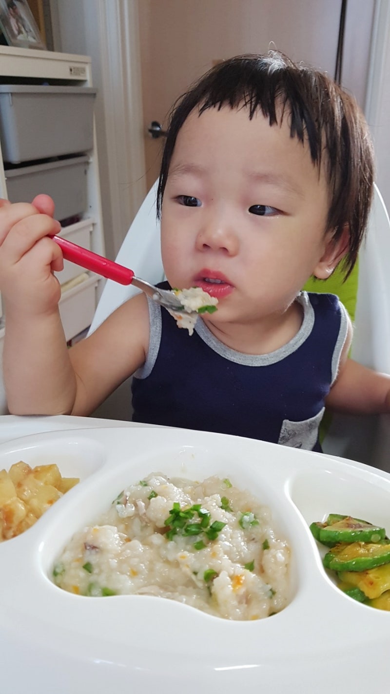 17개월아기식단 식판식 아기반찬 영양닭죽 애호박구이 치즈우유감자조림 네이버 블로그