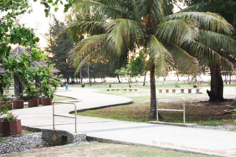 브루나이 [Brunei]_09 :: 아름다운 무아라 해변 (Muara Beach) : 네이버 블로그
