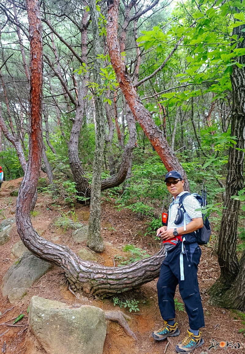광양여행 백운산 둘레길 1코스 백계산 닭숯불구이 도선국사 천년숲길 광양 가볼만한 곳 네이버 블로그