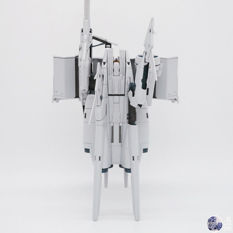 1/550 HGM 덴드로비움 : HGM Dendrobium : 네이버 블로그