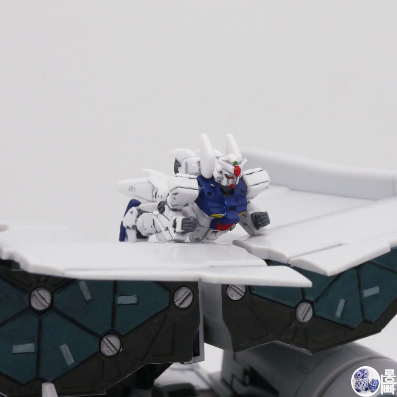 1/550 HGM 덴드로비움 : HGM Dendrobium : 네이버 블로그