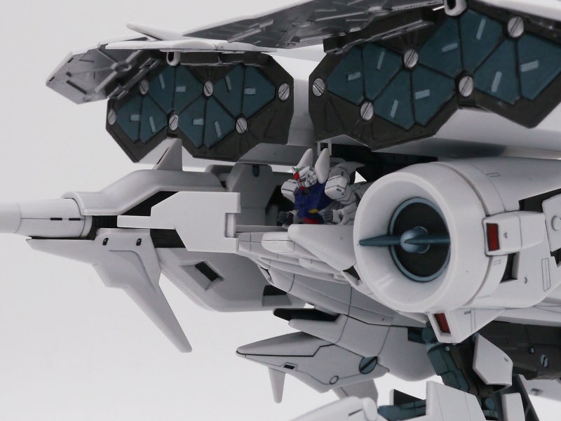 1/550 HGM 덴드로비움 : HGM Dendrobium : 네이버 블로그
