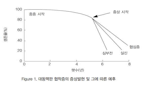 Asymptomatic Severe As How To Manage 무증상 중증 대동맥판 협착증 중증 대동맥판막 협착증