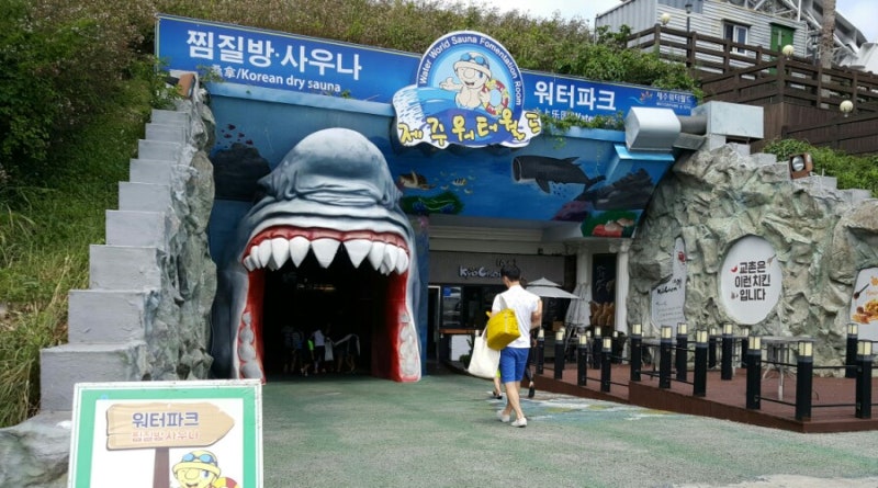 제주 최대의 워터파크 제주워터월드 제주도 아이와 가볼만한곳 제주도 실내 수영장에서 신나는 여름 물놀이도 하고 닥터피쉬로