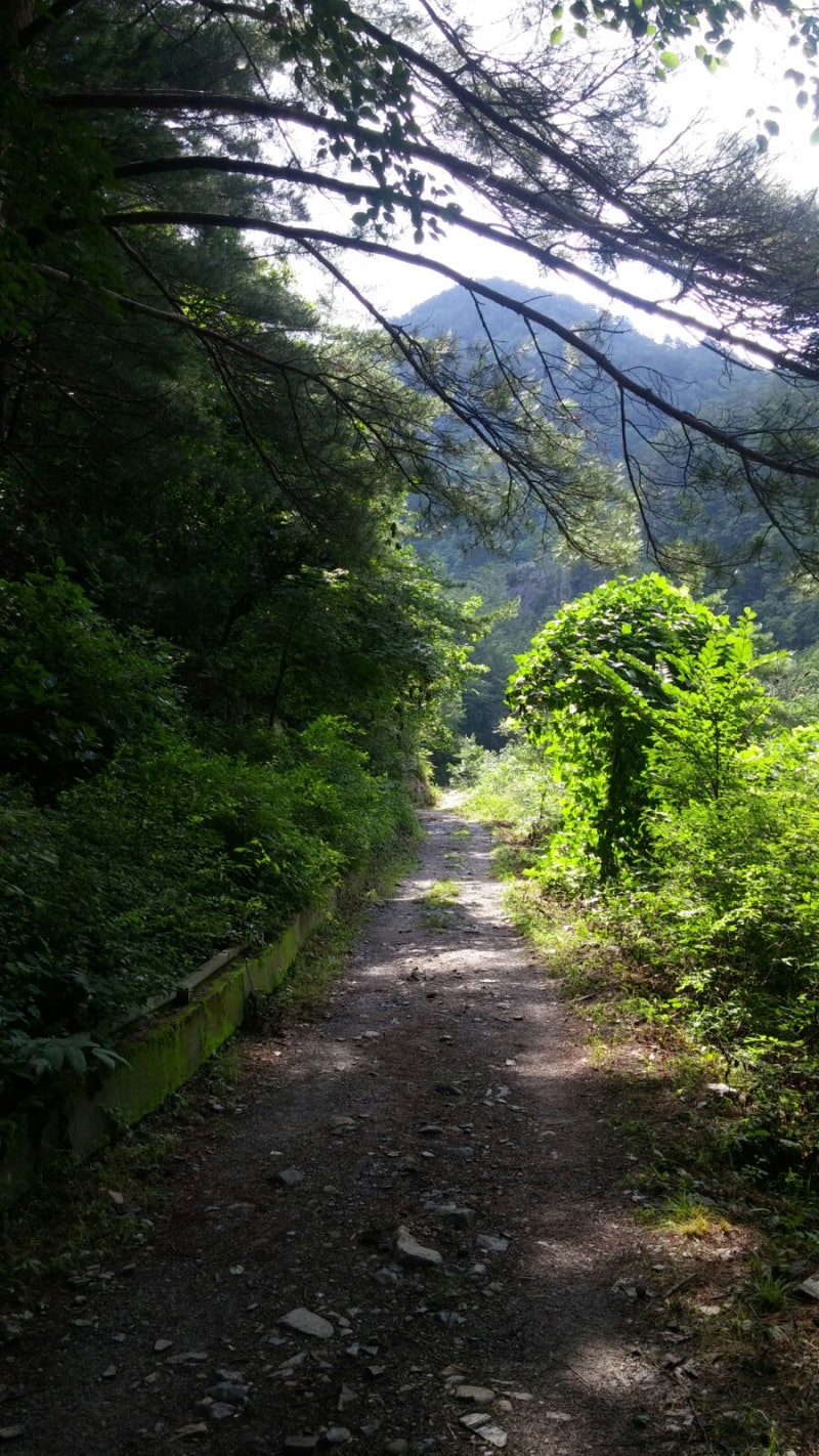 삼척 덕풍계곡 덕풍산장~ 3용소 계곡 트레킹 네이버 블로그