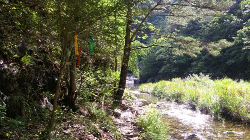 삼척 덕풍계곡 덕풍산장~ 3용소 계곡 트레킹 네이버 블로그