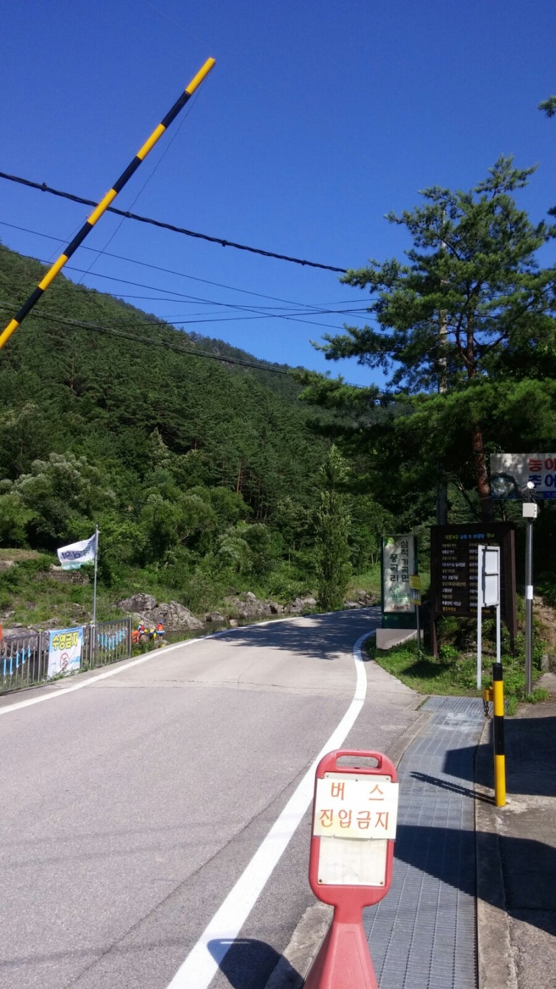 삼척 덕풍계곡 덕풍산장~ 3용소 계곡 트레킹 네이버 블로그