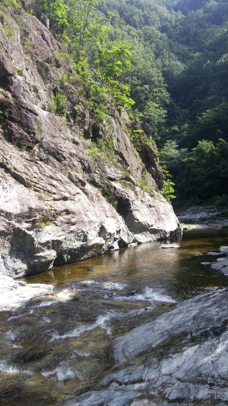 삼척 덕풍계곡 덕풍산장~ 3용소 계곡 트레킹 네이버 블로그