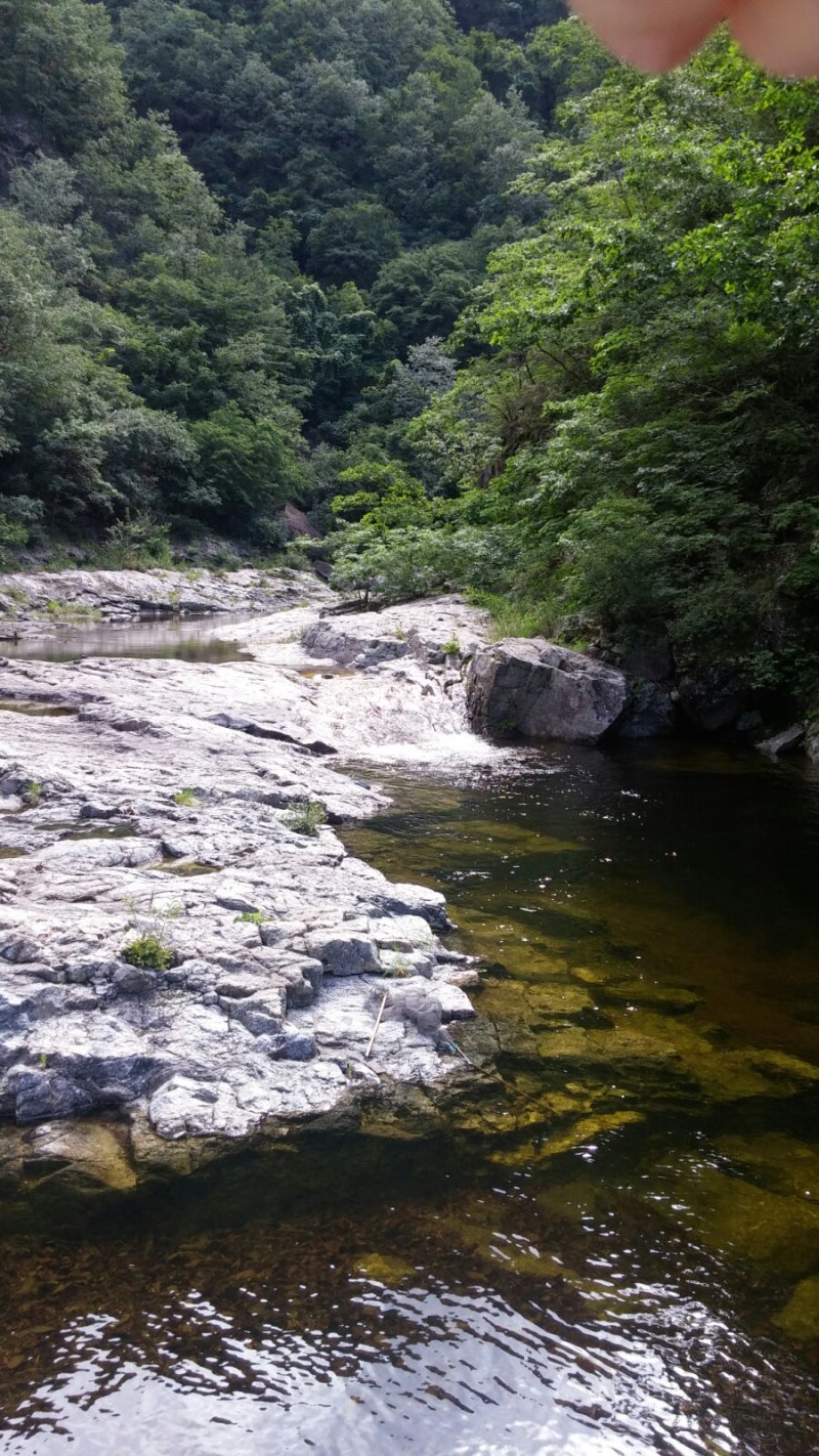 삼척 덕풍계곡 덕풍산장~ 3용소 계곡 트레킹 네이버 블로그