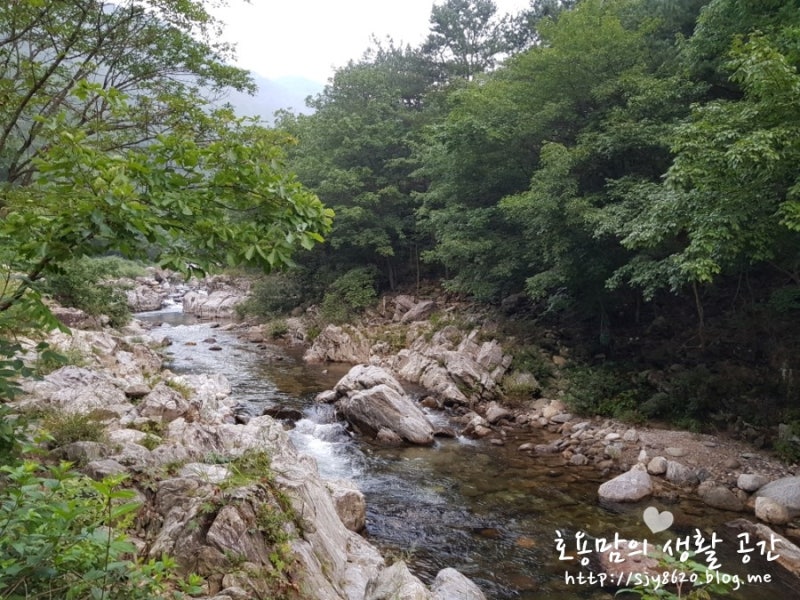 또올래캠핑장 둘째날 가평 계곡 캠핑장 네이버 블로그