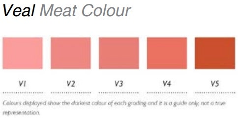 [고기의 등급] 호주산 소고기 등급제 #2. 세계에서 가장 완벽한 시스템. MSA : 네이버 블로그