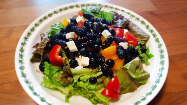 카시스베리 Cassis berry : 네이버 블로그