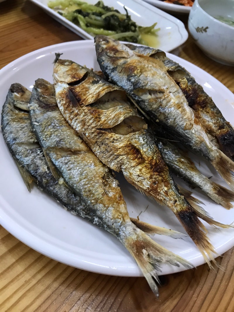 전남 보성 맛집 소담 전어구이백반 전어정식 네이버 블로그