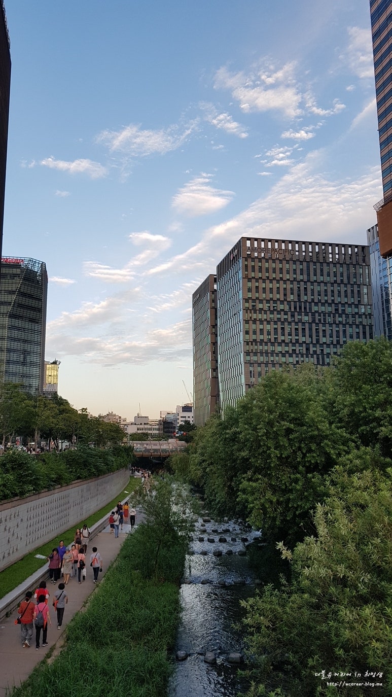 [EBS] EIDF(EBS국제다큐영화제) "씨앗:우리가 몰랐던 이야기" 야외상영 현장스케치 후기_청계천 한빛광장 : 네이버 블로그