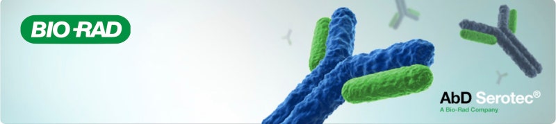 [Bio-Rad]-Antibodies / 최고 품질의 Bio-Rad Antibody를 공급합니다 / AbD Serotec의 ...