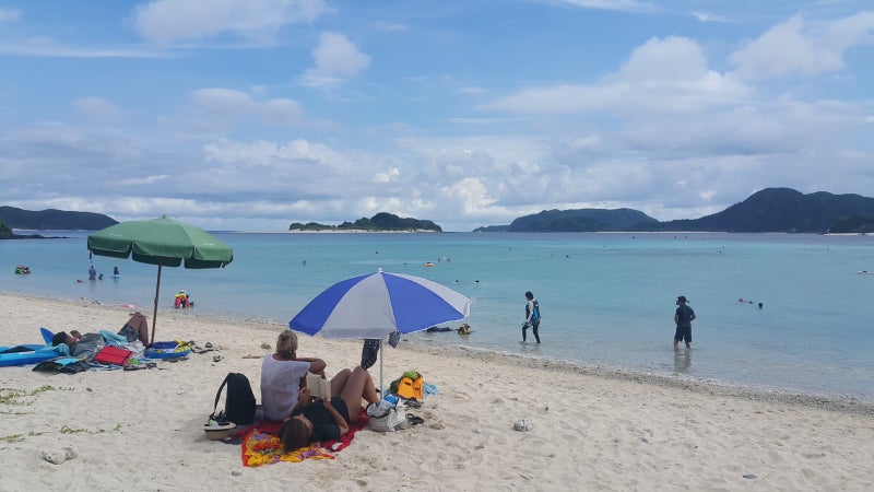 자마미섬 바다거북이와 아마비치 AMA BEACH : 네이버 블로그