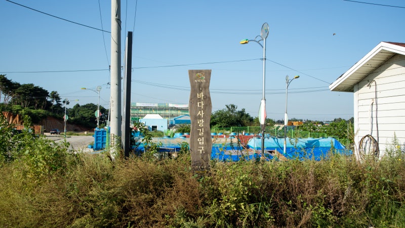 당진시 가을에 걷기 좋은 길 바다사랑길 네이버 블로그