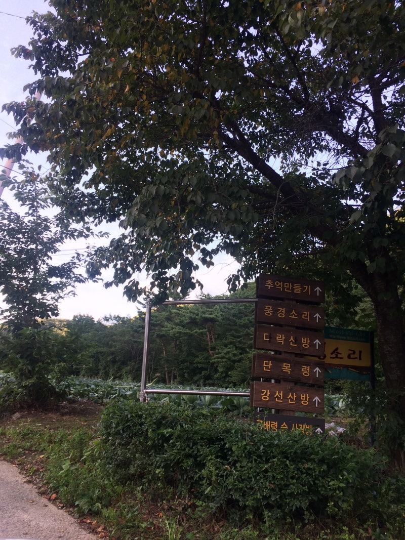 인제여행 1박2일 ② :: 곰배령 강선산방 : 네이버 블로그