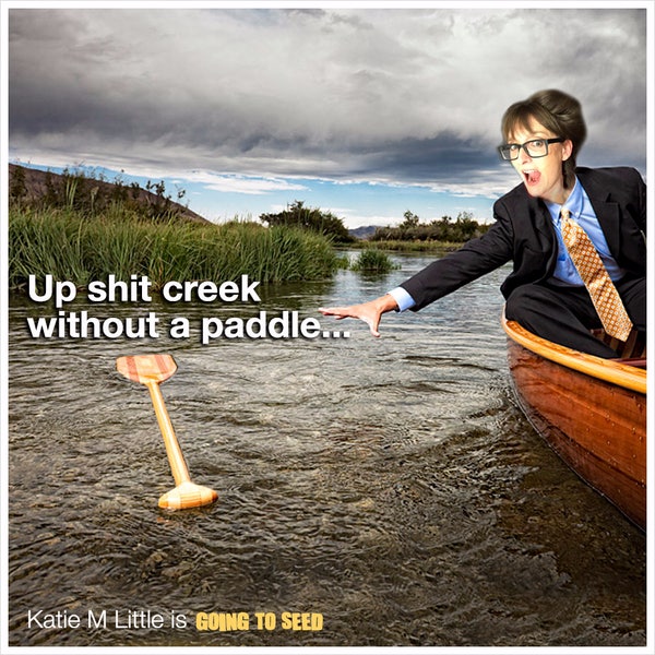 up the creek (without a paddle) 곤경에 처한 | 영어 표현 : 네이버 블로그