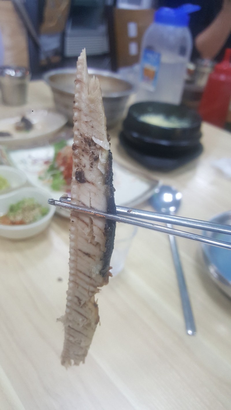 성화동 반도회수산 청주 횟집 광어 우럭 네이버 블로그