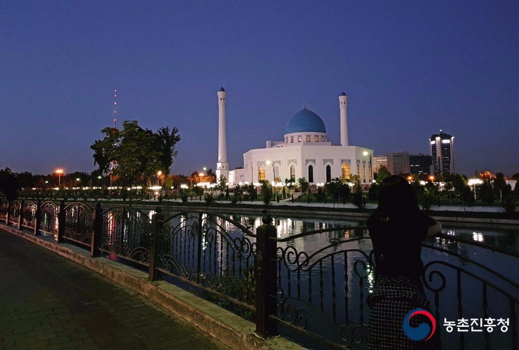 함께해서 즐거운! KOPIA 우즈벡 센터의 일상 : 네이버 블로그