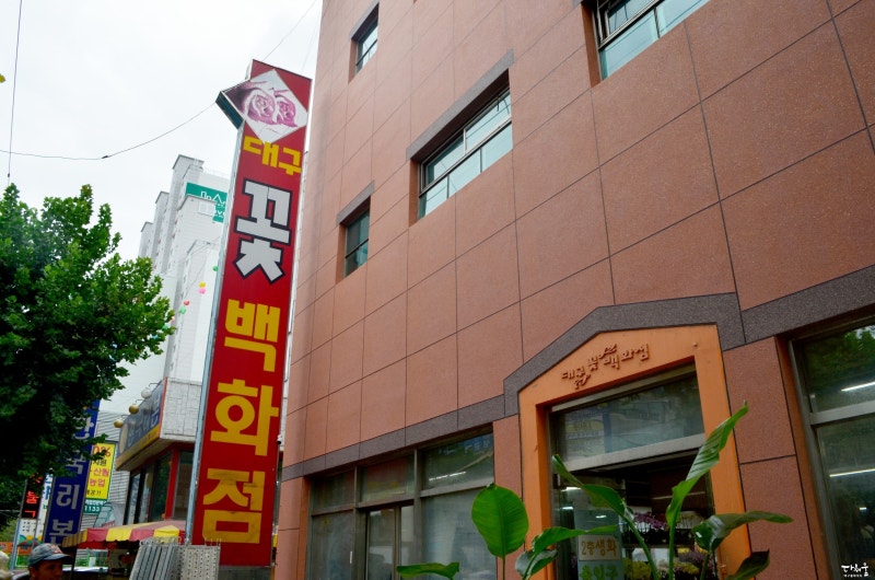 향기로운 대구 대구 꽃시장 꽃 백화점 칠성꽃시장 영업시간 대구 꽃구경 대구 이색 데이트 네이버 블로그