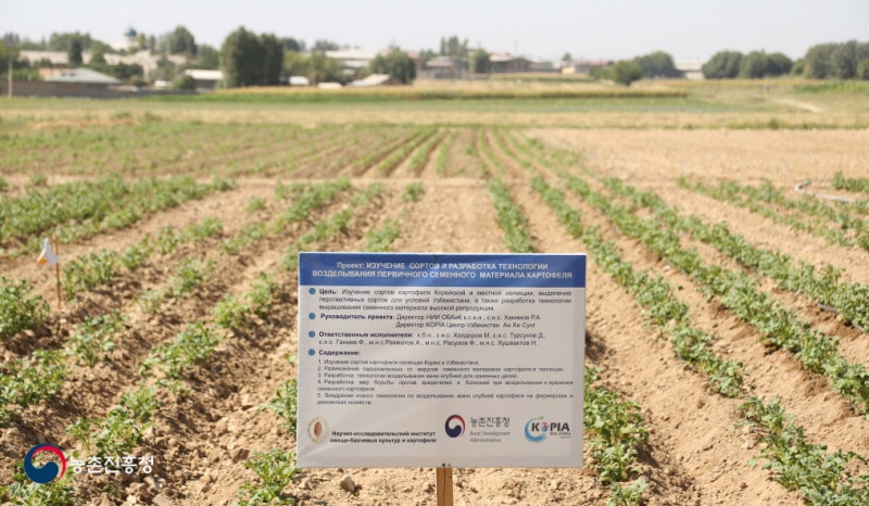 고려인 동포에게 농업기술 전수하는 KOPIA 우즈벡센터 안희성 소장 : 네이버 블로그