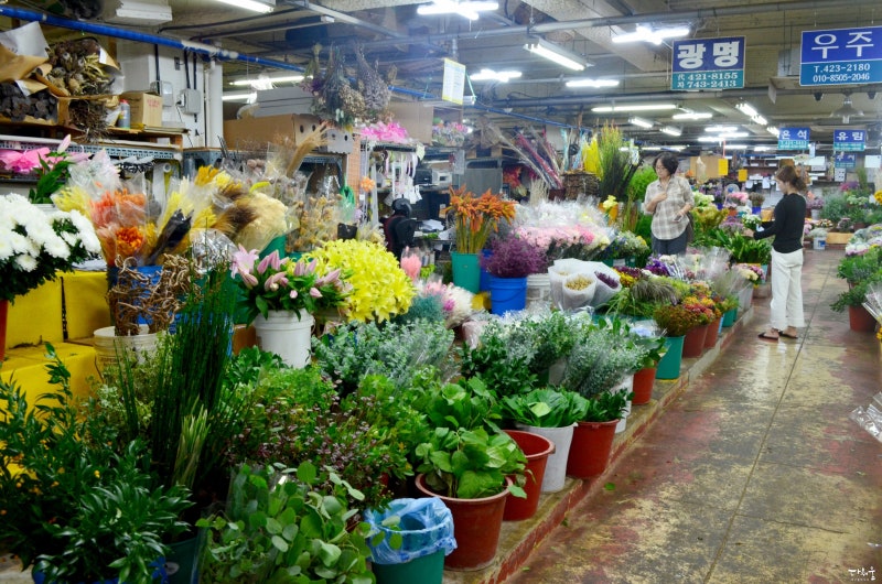 향기로운 대구 대구 꽃시장 꽃 백화점 칠성꽃시장 영업시간 대구 꽃구경 대구 이색 데이트 네이버 블로그