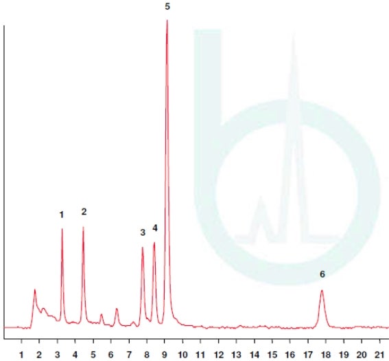 HPLC Column, Bischoff ProntoSIL C18 SH : 네이버 블로그