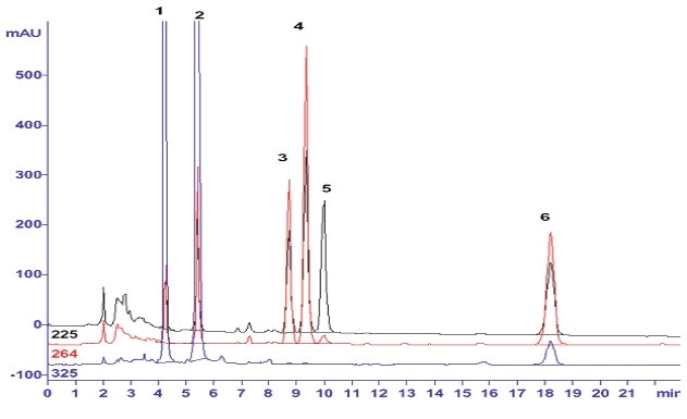 HPLC Column, Bischoff ProntoSIL C18 SH : 네이버 블로그