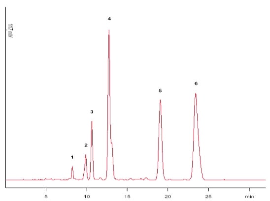 HPLC Column, Bischoff ProntoSIL C18 SH : 네이버 블로그