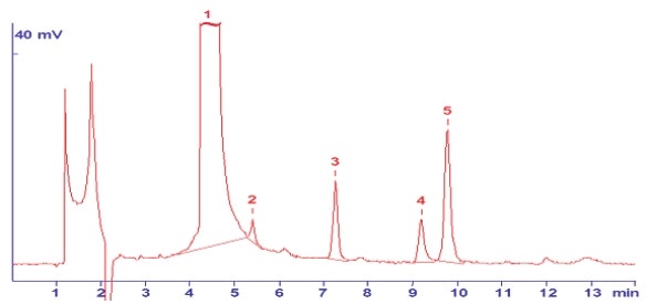 HPLC Column, Bischoff ProntoSIL C18 EPS : 네이버 블로그