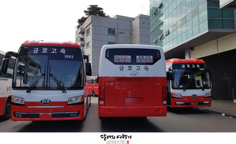 신차출고 고속전세금호고속 유니버스 럭셔리 뉴그랜버드 선샤인 17 우등일반 네이버 블로그