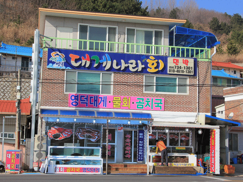 영덕 대게 싼집 영덕 강구항 맛집 대게나라회 네이버 블로그