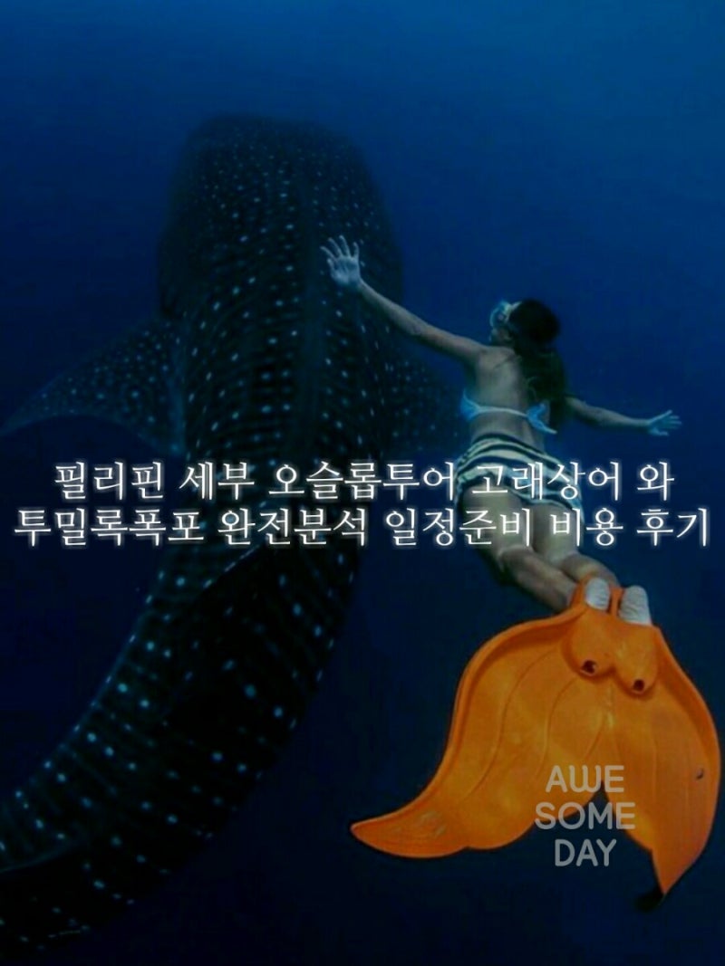 필리핀 세부 오슬롭 고래상어 투어 와 투말록 폭포 완전분석 후기 네이버 블로그
