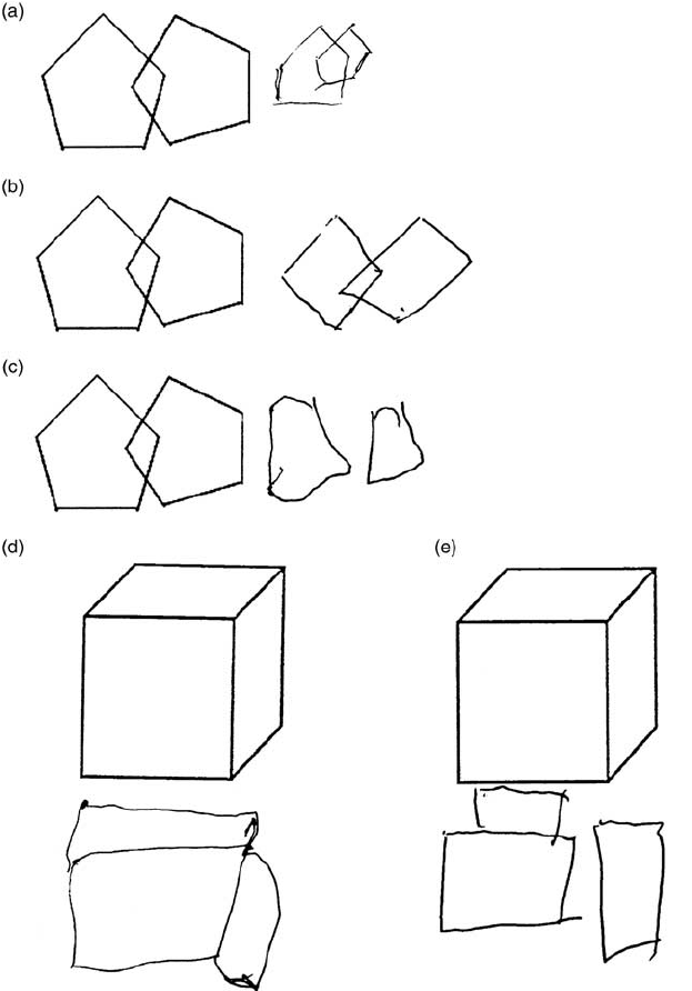 MMSE의 오각형 그리기, Intersecting pentagons scoring scale : 네이버 블로그