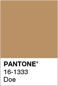 팬톤코리아 / 팬톤컬러칩 20170111 팬톤오늘의컬러 PANTONE COLOR 16-1333 : 네이버 블로그